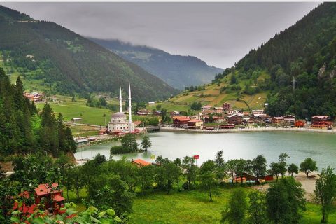Konya Lale Tarlası : Sizi Kendinizden Alacak - Gezicini.com