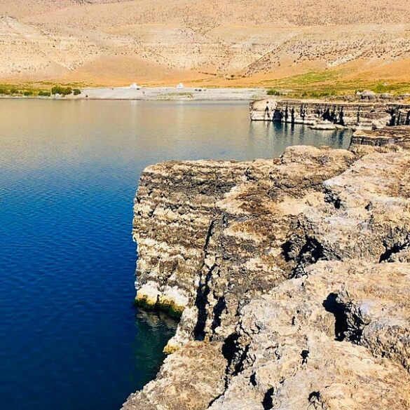 Acıgöl - Acıgöl Canlı Hayatı ve Ayırıcı Özellikleri Hakkında